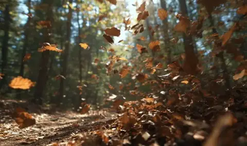 Weather today, forecast for Friday, November 21: ᐉ News from Fakti.bg - Bulgaria | ФАКТИ.БГ