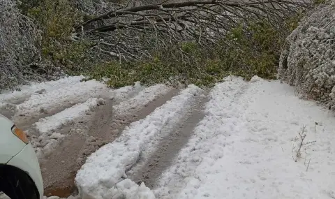 ЕРМ Запад започва да монтира мобилни агрегати в най-засегнатите райони ᐉ Новини от Fakti.bg ...