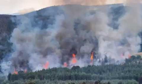 Пожар гори край Костинброд, активирана е системата BG-Alert ᐉ Новини от Fakti.bg - България ...