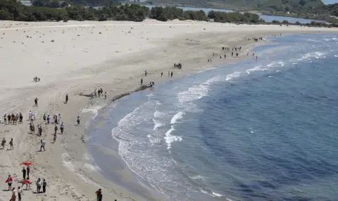 The protests in Albania do not stop: the reason for them is a project ...