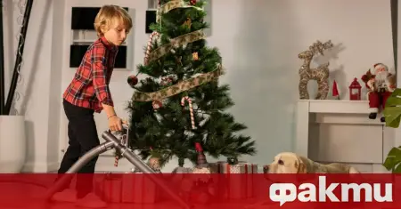 Не чистете на 31 декември, вижте защо ᐉ Новини от Fakti.bg - Любопитно | ФАКТИ.БГ