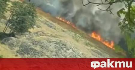 Активираха системата BG-Alert заради голям пожар край Карнобат (СНИМКА) ᐉ Новини от Fakti.bg ...