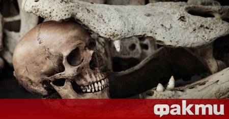 7-метров крокодил и леопард разкъсали и изяли древен човек ᐉ Новини от Fakti.bg - Любопитно ...