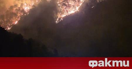 21 дни огън в Пирин ᐉ Новини от Fakti.bg - България | ФАКТИ.БГ