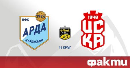 Video indonesia viral bokep