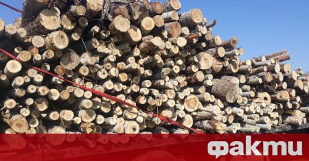 Бракониери изсичат между 17 и 20 хиляди м3 годишно от горите ни ᐉ Новини от Fakti.bg - България ...