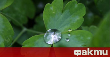 Времето днес, прогноза за понеделник, 17 април: Облачно, ще вали ᐉ Новини от Fakti.bg - България ...